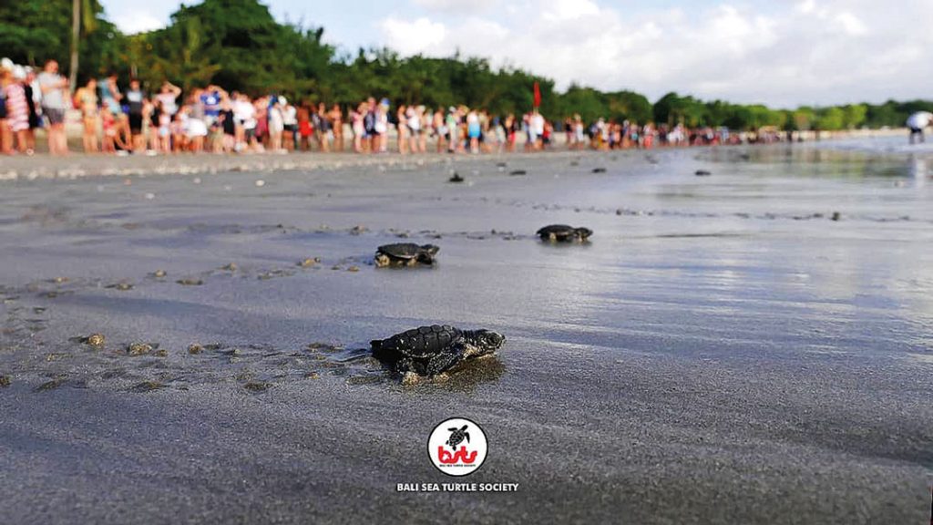 30+ Best Places to Visit in Bali with Kura-Kura Bus - Kura-Kura Blog